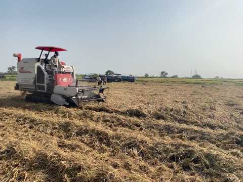 Paddy Harvester - Rice Harvester Latest Price, Manufacturers & Suppliers