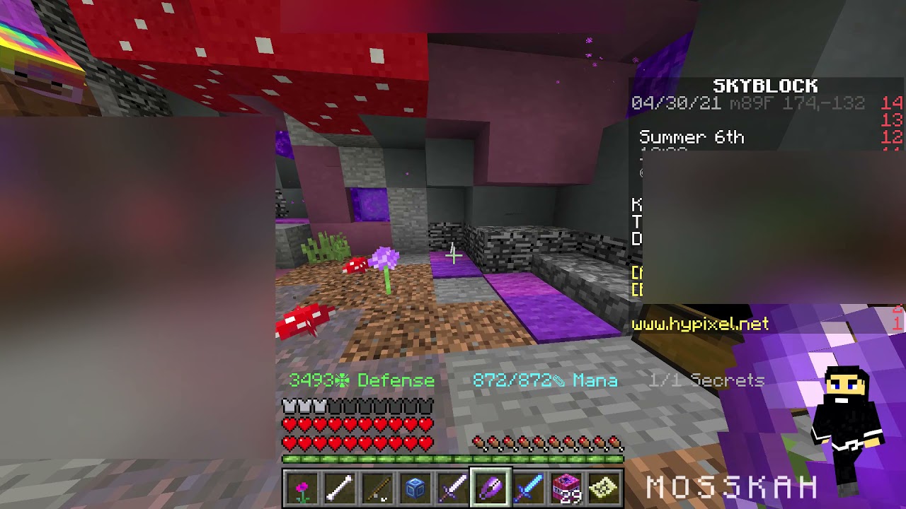 Guide, mushroom room - Hypixel's skyblock dungeons, Minecraft