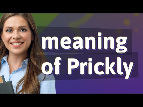 Prickly | meaning of Prickly