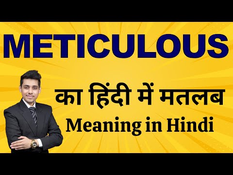 Meticulous Meaning in Hindi | Meticulous का मतलब क्या होता है? Simple Explanation by Bhasha Buddy
