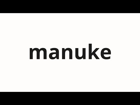 How to pronounce manuke | 間抜け (Idiot in Japanese)