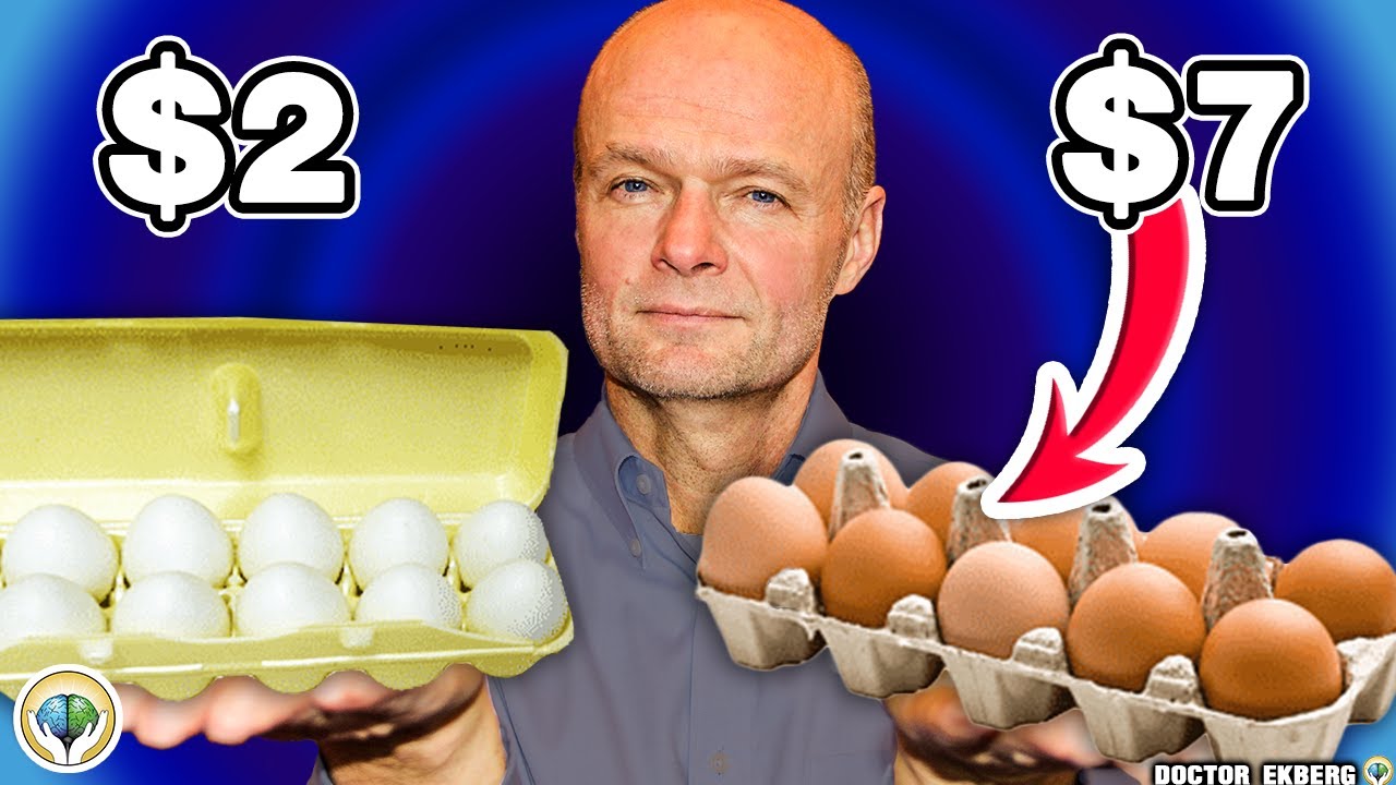 Are Expensive Eggs Really Worth It? Dr Ekberg