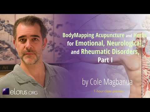 BodyMapping Acupuncture and Herbs for Emotional, Neurological, and Rheumatic Disorders, Part I