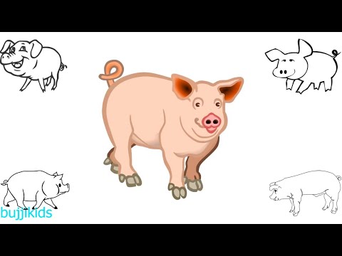 How to Draw Pig for Kids | Learn How to Draw a Pig – bujjikids