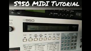Akai S950 MIDI Digital Sampler - What To Know & Where To Buy | Equipboard