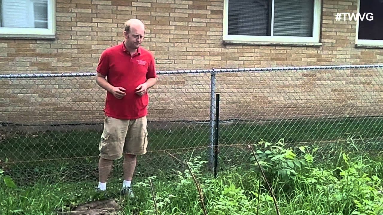 What is a Raised Berm Garden? - Straight to the Point