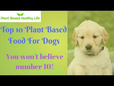 Plant Based Food For Dogs