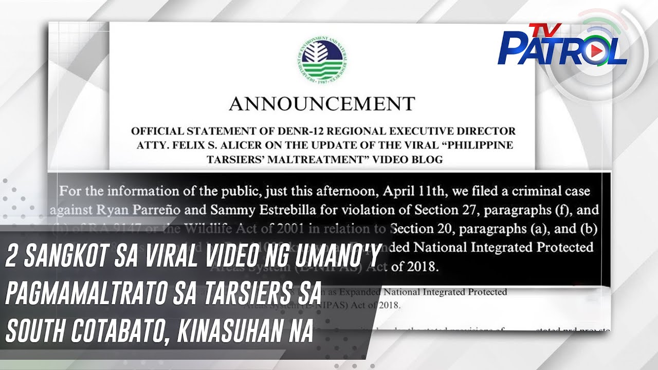 2 sangkot sa viral video ng umano'y pagmamaltrato sa tarsiers sa South ...