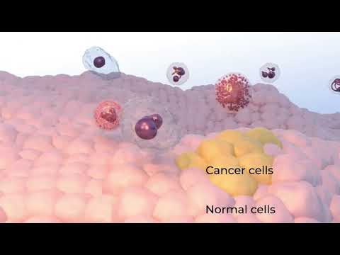 Behind the Science - Moffitt Researchers Create Revolutionary Images of LAG3 Receptors
