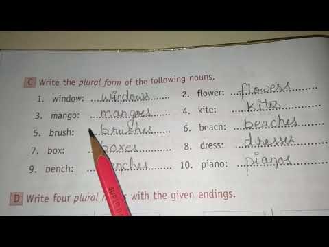C.Write the plural form of the following nouns.
