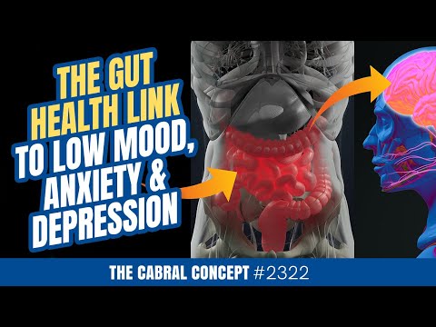 The Gut Health Link to Low Mood, Anxiety & Depression | Cabral Concept 2322