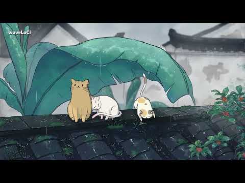 Lazy Cat Lofi Sleep Live Wallpaper - Rain Sounds For Sleeping
