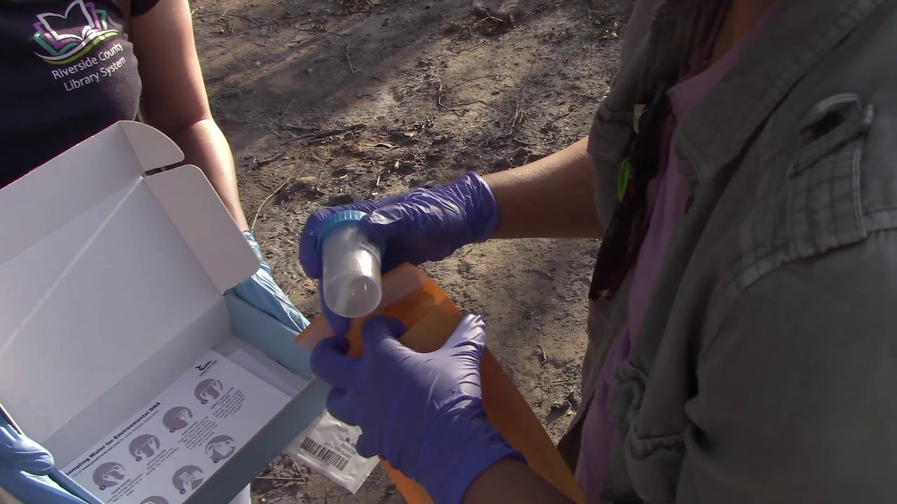 Beta-testing the JonahWater Aquatic Environmental DNA Kit