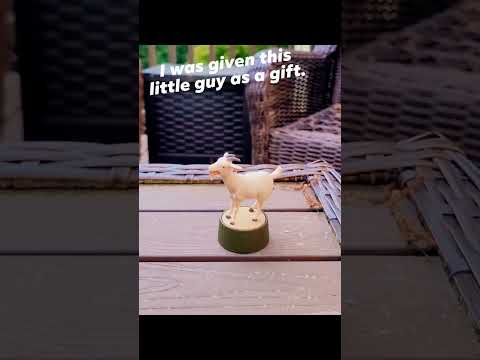 The Screaming Goat
