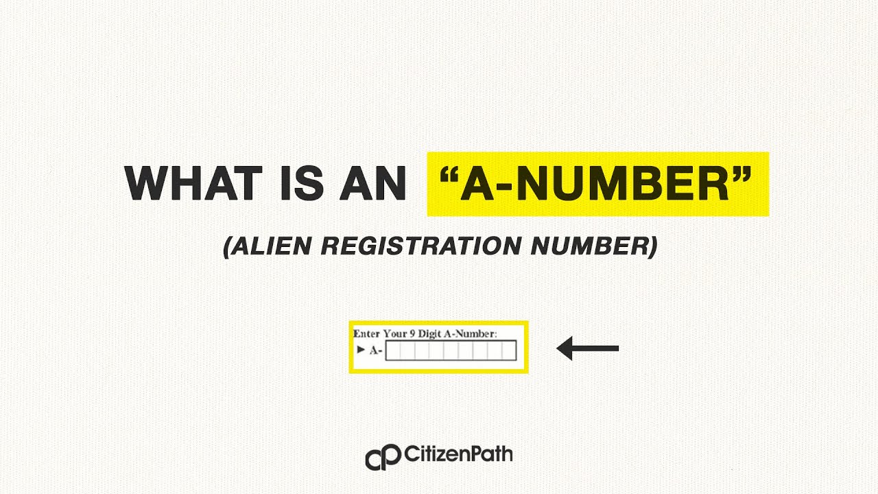 What is an Alien Registration Number (A-number)?