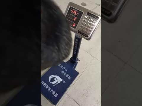 HOW TO CALIBRATE 150KG SCALE