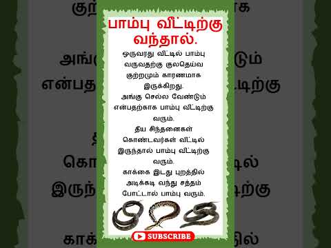 பாம்பு வீட்டிற்கு வந்தால் #பரிகாரம் #devotional #aanmeegathagaval #ஆன்மீகதகவல் #bakthi #snake