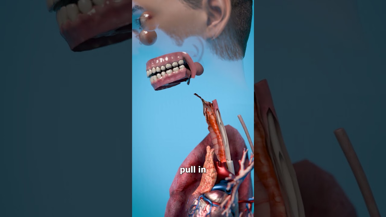 Why Do We Hiccup? 🤔