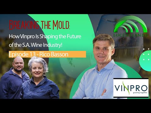 Rico Basson, CEO of Vinpro: Revolutionizing South African Wine Industry | Lucentlands Podcast, Ep 13