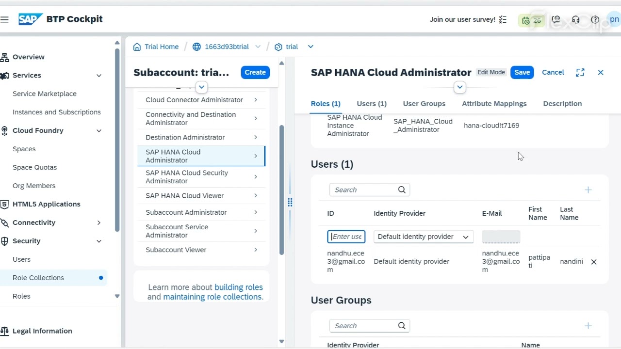 Configuring SAP BTP: Enable Cloud Foundry & Create SAP HANA Cloud Instance