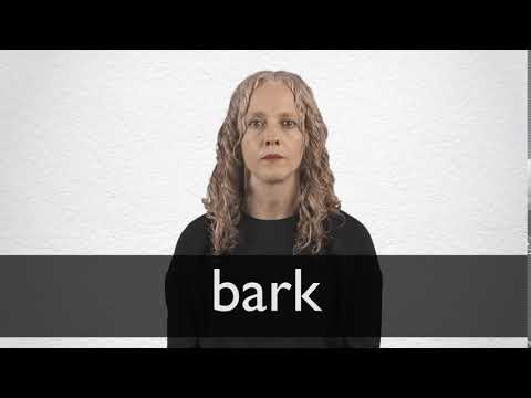 BARK definition and meaning | Collins English Dictionary