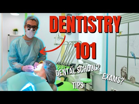 How To Be A Dentist EXPLAINED: Dentistry Training 101