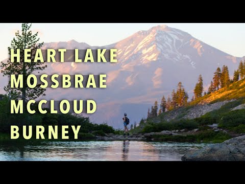 Mt Shasta California: The ULTIMATE 3 Day Itinerary!