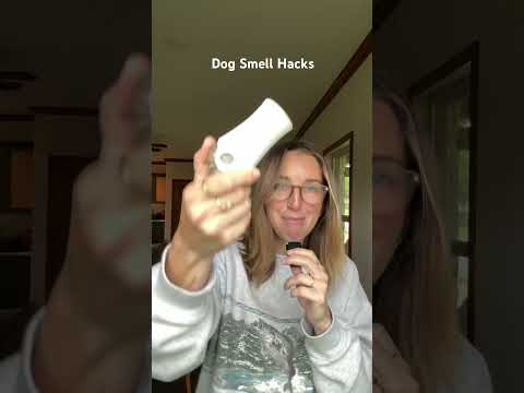 How to prevent your house from smelling like dog!