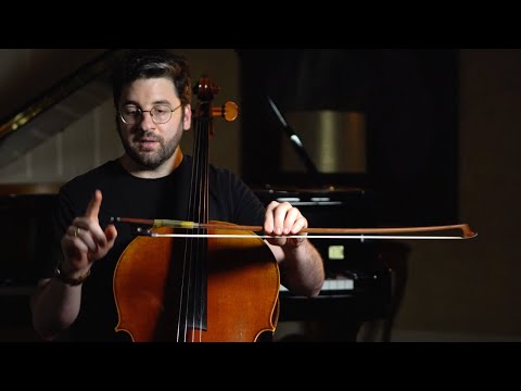 Cello Anatomy 101: A Guide for Adult Learners on the Essential Parts of the Cello and Bow