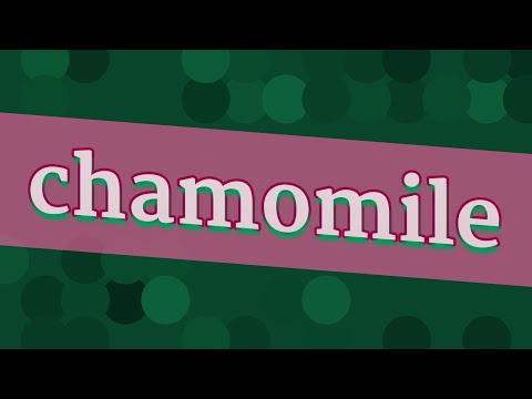 CHAMOMILE pronunciation • How to pronounce CHAMOMILE