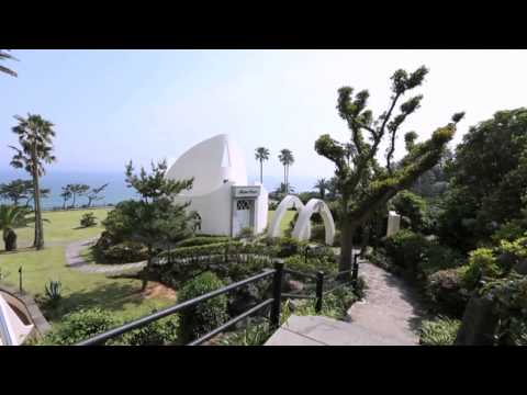 TVB Overseas Wedding Interview