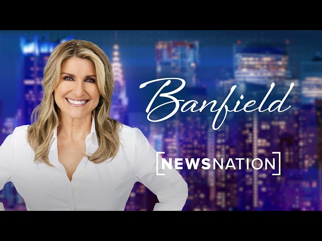 Ashley Massaro’s lawyer shares claim about Vince McMahon following ...