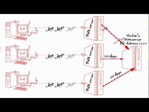 DNS Amplification Attack