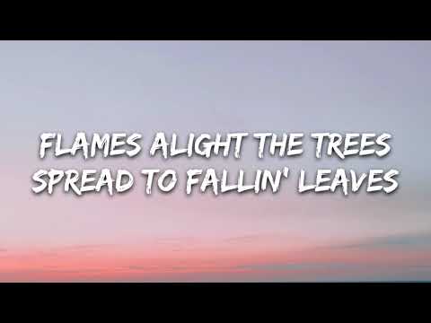 SHAED - Trampoline (Lyrics)