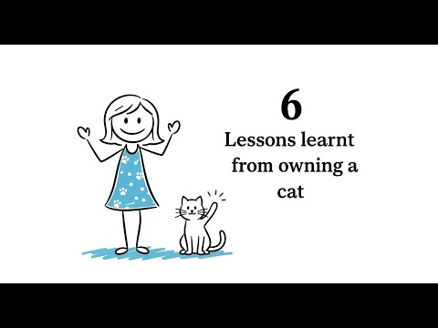 Cat Owner 6 Essential Lessons No 3 will make you smile #cat #kittens #shorts #lesson