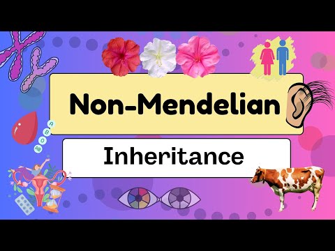 Non-Mendelian Inheritance I FULL VIDEO