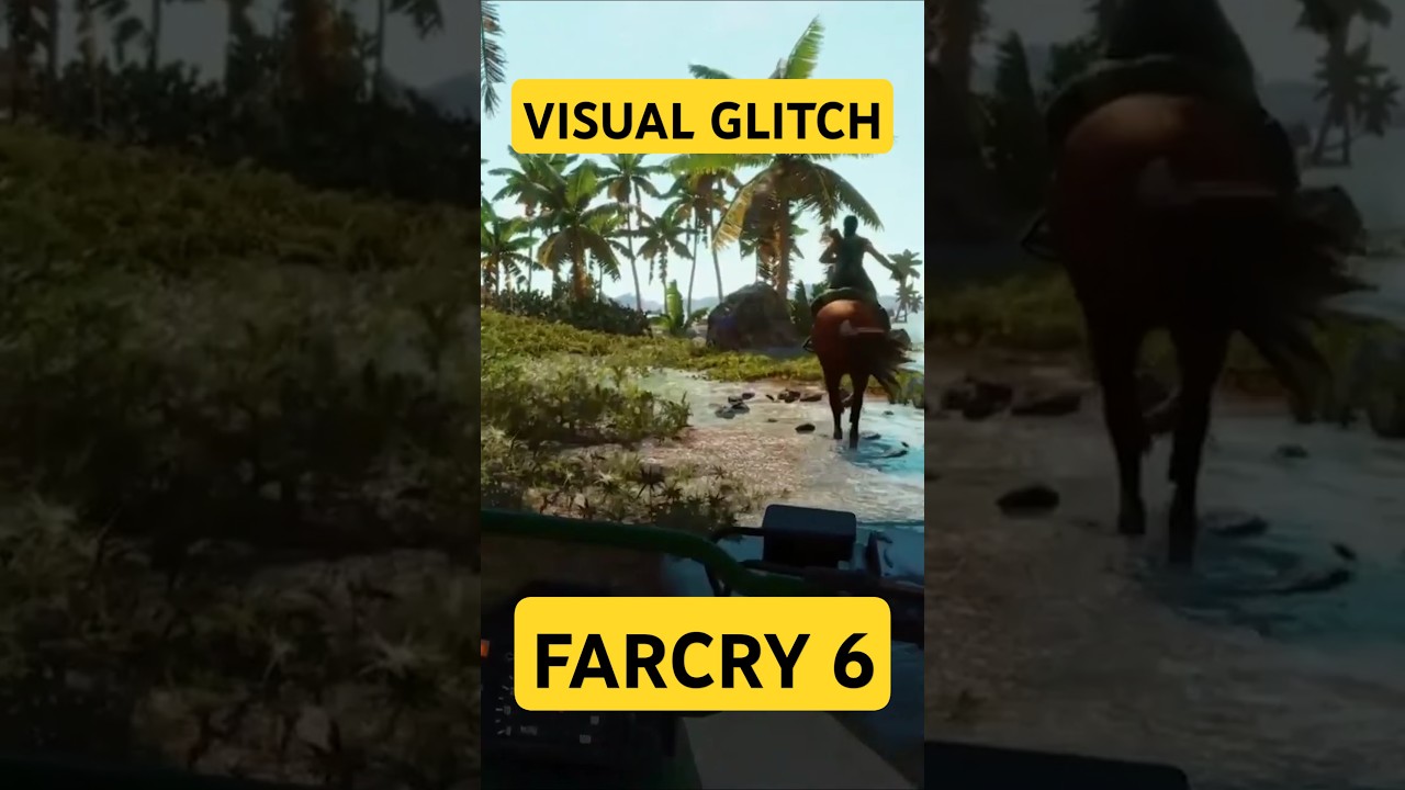 Weird visual glitches (Far Cry 6 Co-Op)