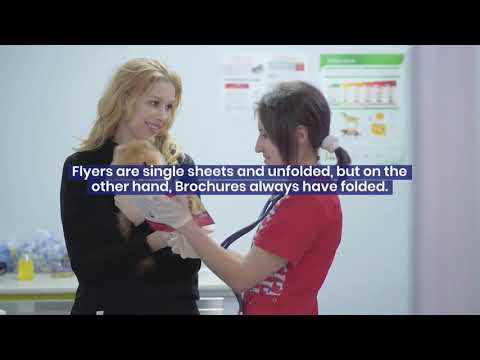Difference Between Flyer And Brochure | Dazonn Technologies