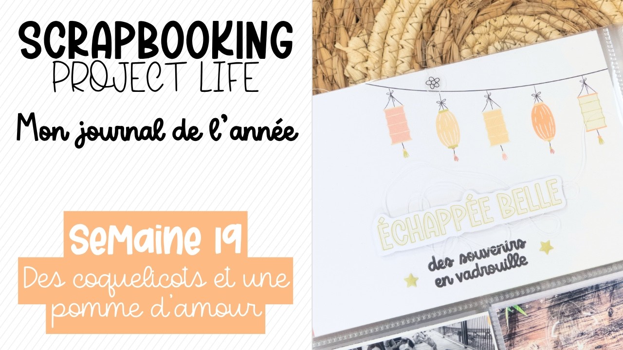 Project Life - Semaine 19 dans Mon journal de l'année 2026