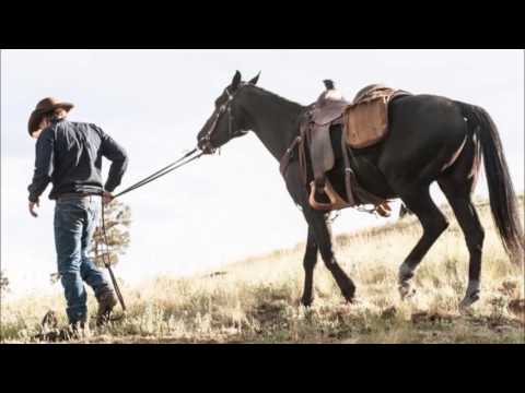 Longmire - Robert Taylor