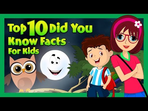 TO 10 DID YOU KNOW FACTS FOR KIDS | ENGLISH STORY COLLECTION | KIDS HUT RHYMES