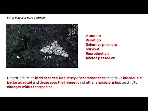 Adaptation and Natural selection. OCR A A-Level Biology Revision 4.2.2 Classification and evolution