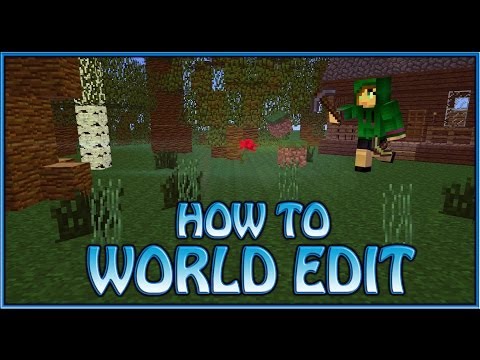 [How to] set two block high plants in Minecraft with WorldEdit ...