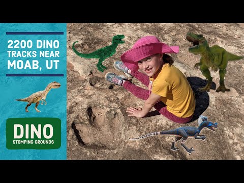 Hiking Moab Utah In Search of Utah Dinosaur Tracks