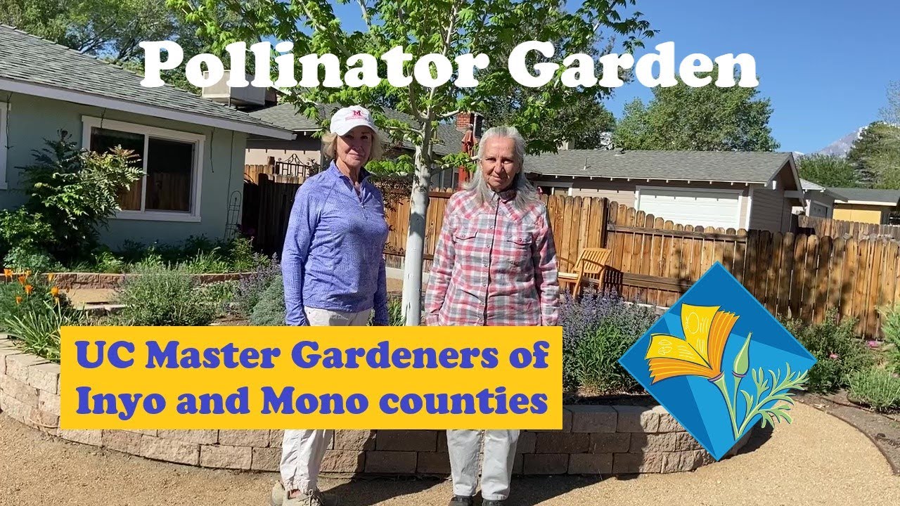 Visiting a Pollinator Garden