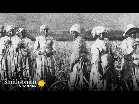 The Last Ship to Bring Enslaved Africans to America Arrived in 1860 | Smithsonian Channel