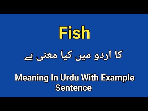 Fish meaning in urdu/hindi |fish k kya matlab hai |fish in sentence |How to pronounce fish