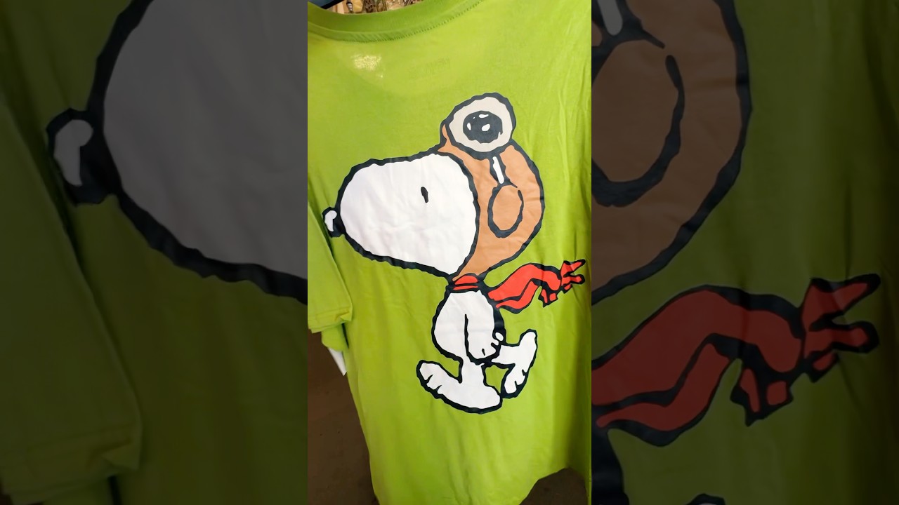 Favorite PEANUTS character? #shorts #snoopy #merch #woodstock #peanuts #charliebrown #lucy
