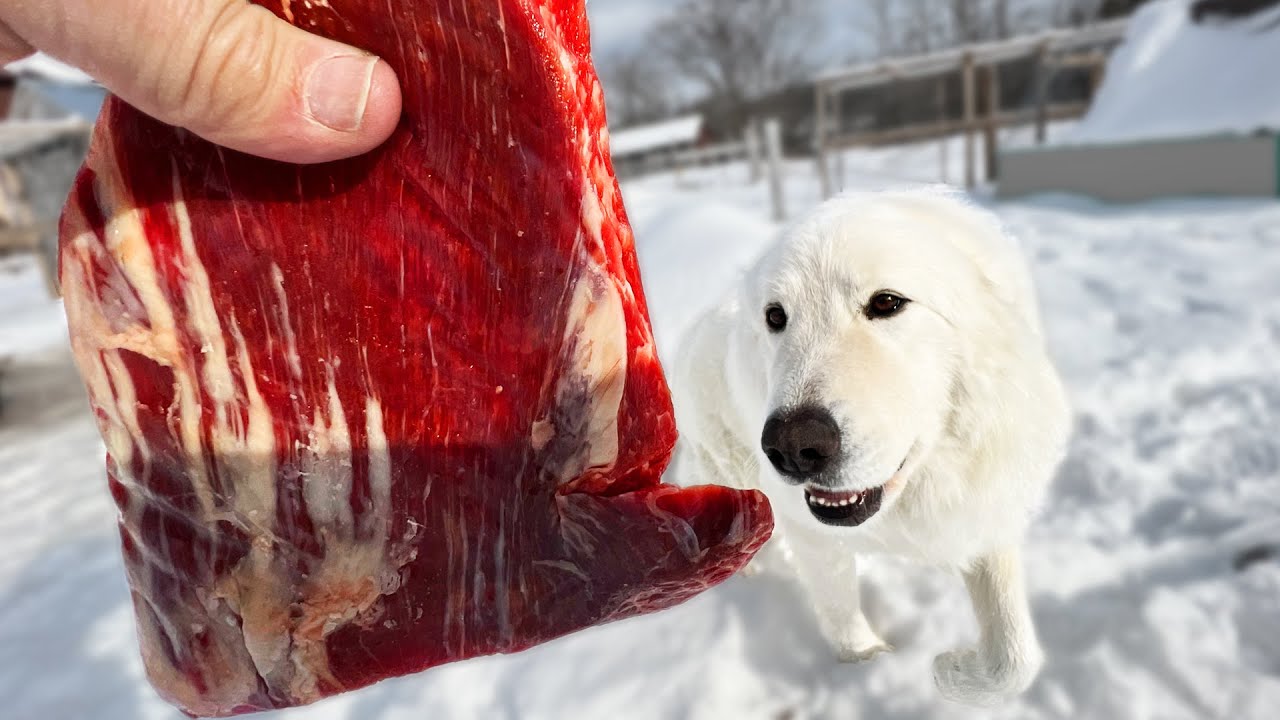 Combating Climate Change by Eating Meat