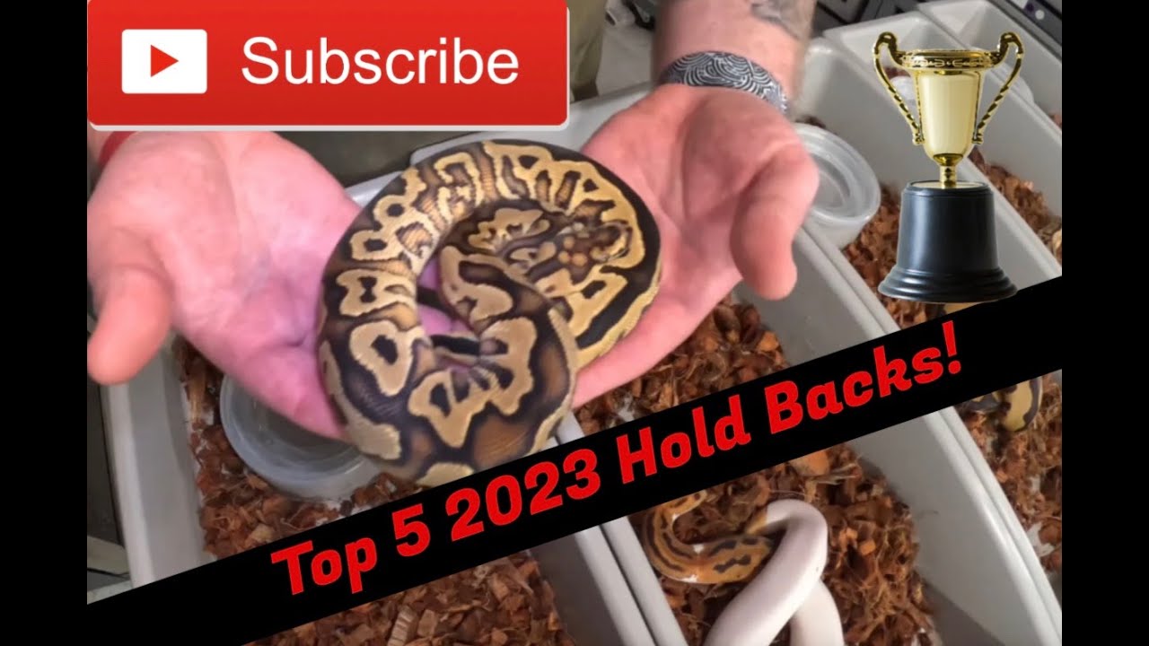2023 Holdbacks Part 1